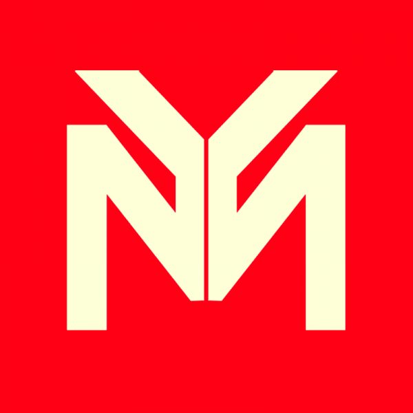 Young Money Entertainment - Heavy Hits