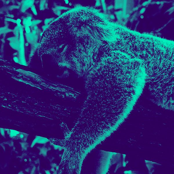 Australian Vibes - Heavy Hits